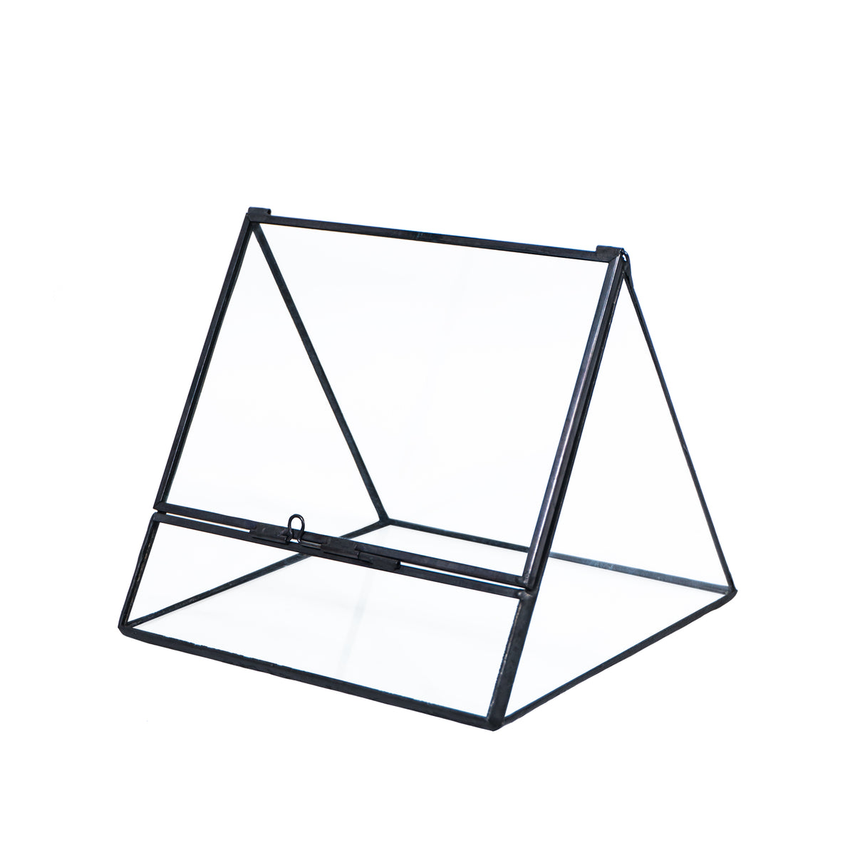 Triangular Indoor Plant GeometricGlass Vessel Container for Succulent ...